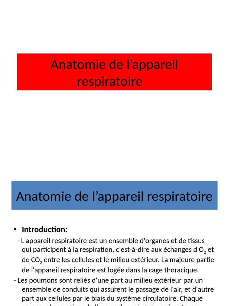 Anatomie de l'Appareil Respiratoire | PDF | Système respiratoire ...