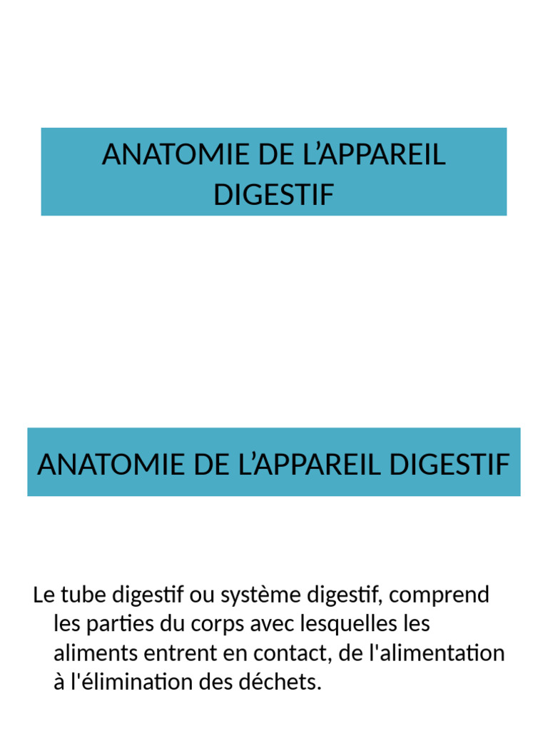Anatomie de l'Appareil Digestif | PDF | Tractus gastro-intestinal | Bile