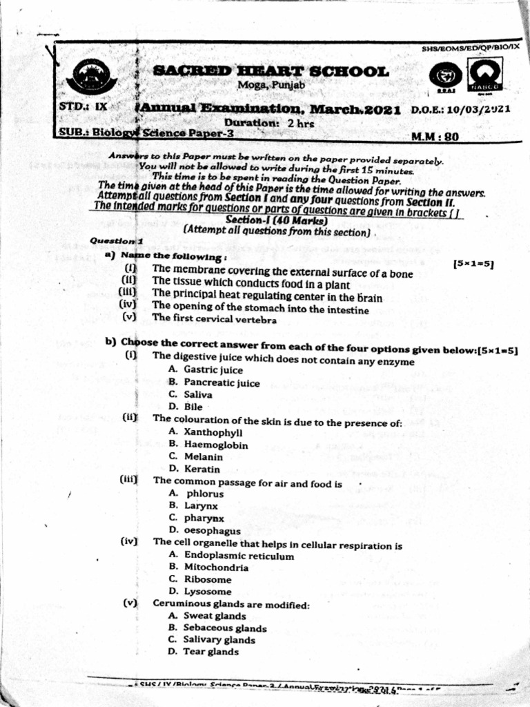 Biology Full Syllabus Sample Paper | PDF