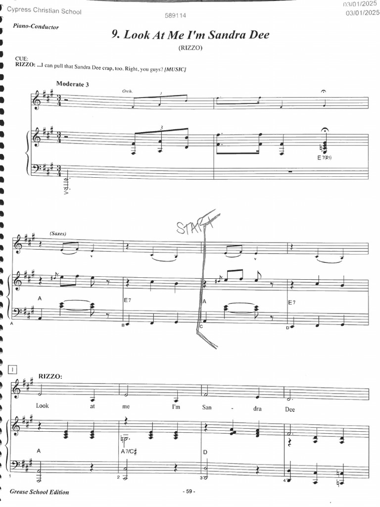 Look at Me Im Sandra Dee | PDF