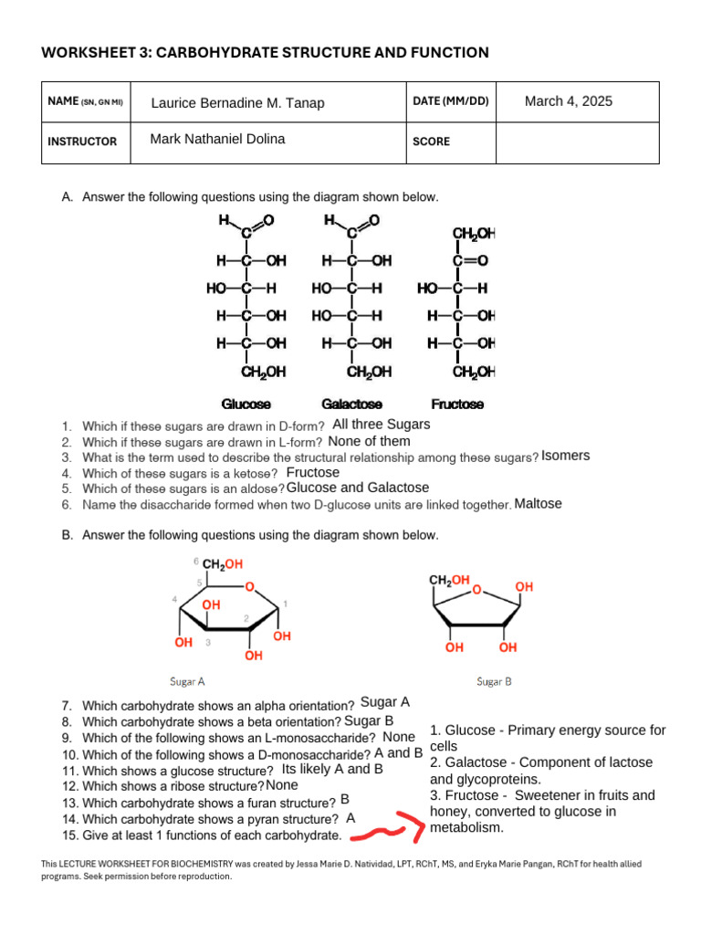 Worksheet 3-Carbohydrate Structure and Function-output | PDF