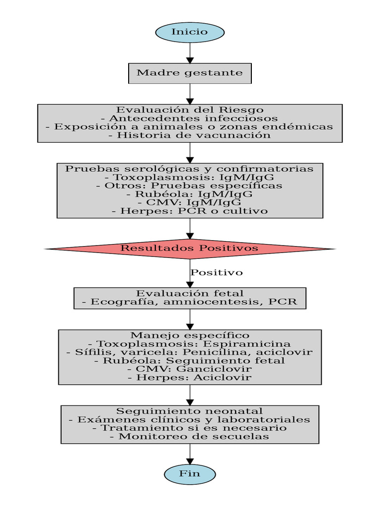 Flujograma TORCH | PDF