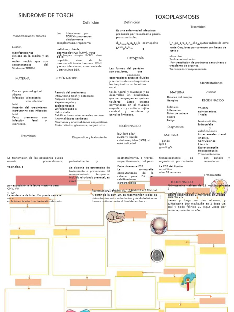 PDF Div Class 2qs3tf Truncatedtext Module Wrapper Fg1km9p Classtruncatedtext Module Lineclamped ...
