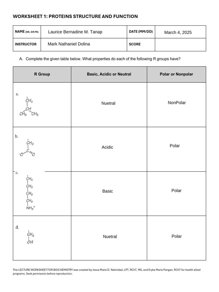 Worksheet 1 - Protein Structure and Functions-Output | PDF