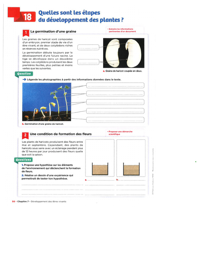 Cahier D'activité Nathan - Chapitre 7, Le Développement Des Êtres ...
