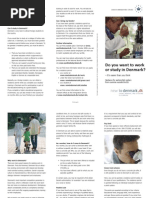 SIRI Application Form Guide | PDF | Denmark | Employment