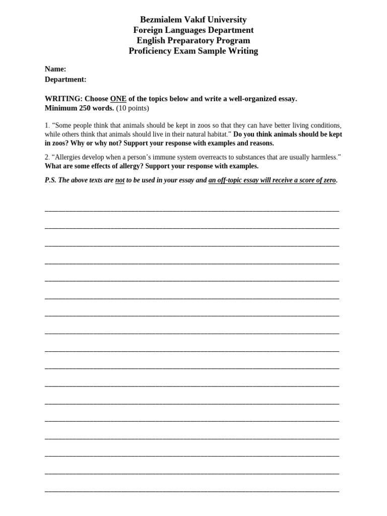 Proficiency Writing Sample | PDF