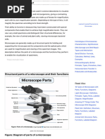 Microscope Parts and Functions Explained | PDF | Microscope | Optical Devices