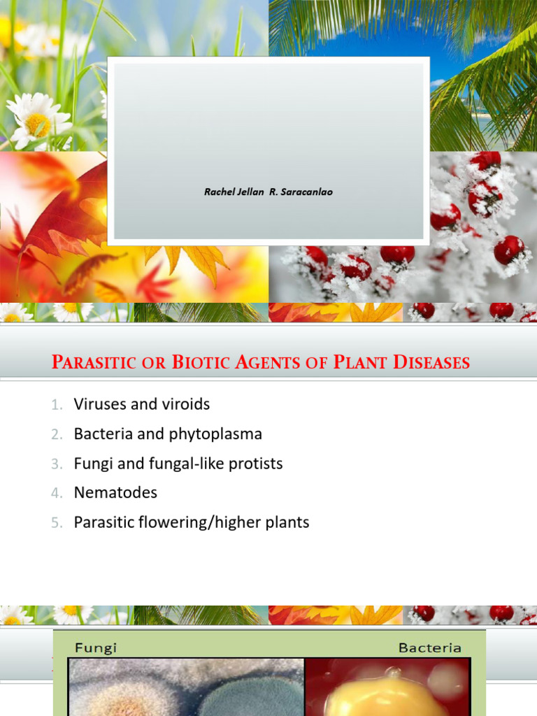 Midterm Pathogens 2 Biotic Agent of Disease | PDF | Cell (Biology ...