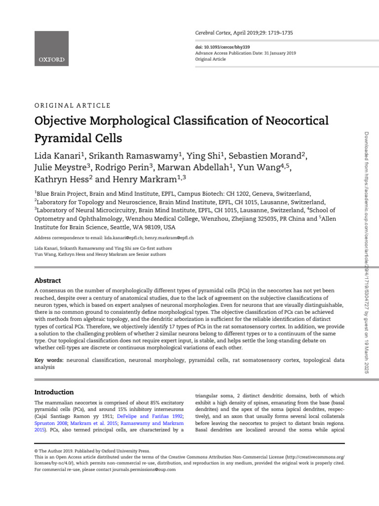 Objective Morphological Classification of Neocortical | PDF | Dendrite ...