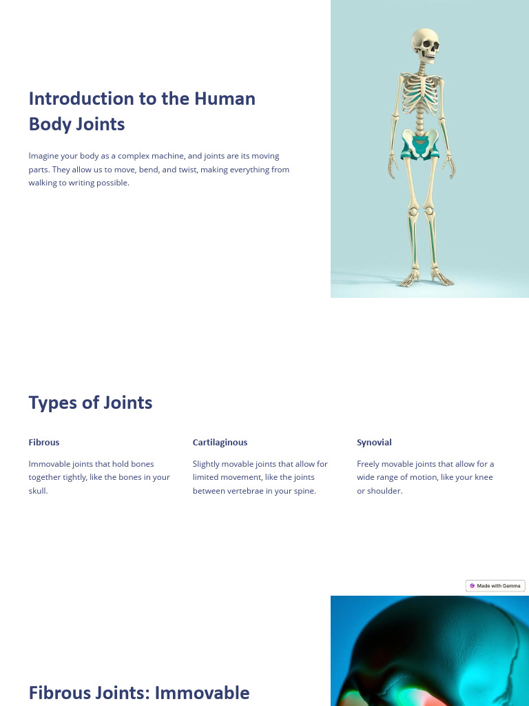 Introd - Human-Body-Joints | PDF | Joint | Shoulder