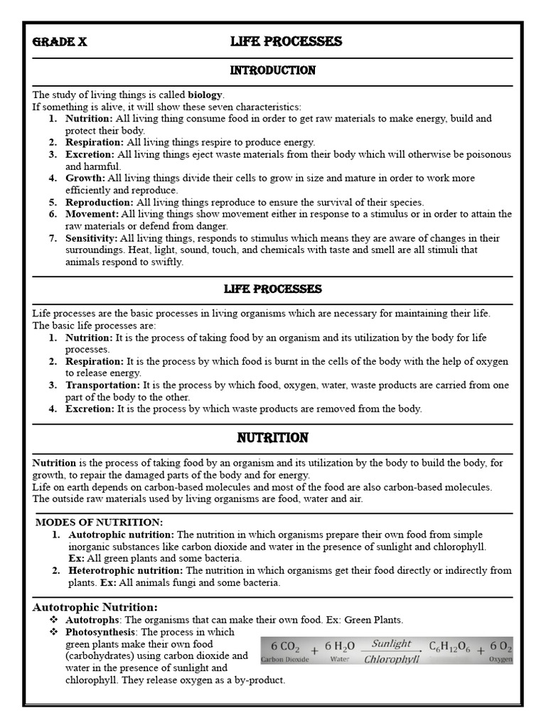 Grade 10 - Bio - Life Processes - Notes | PDF | Atrium (Heart) | Heart