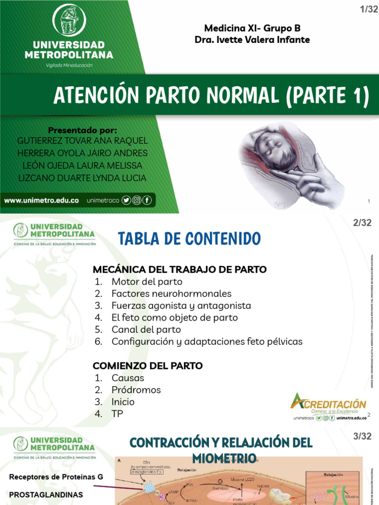 Atención al Parto Normal: Aspectos Clave | PDF | Parto | Pelvis