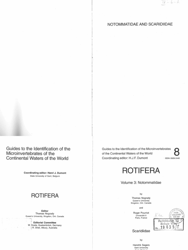 Rotifera No 8notommatidae and Scaridiidae | PDF
