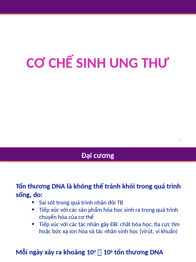 Co Che Sinh Ung Thu - 4 | PDF