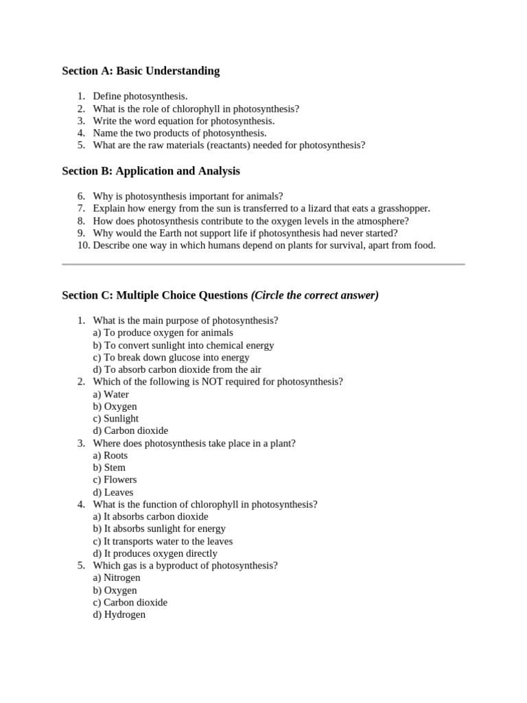 Photosynthesis Assessment Worksheet | PDF | Photosynthesis | Leaf