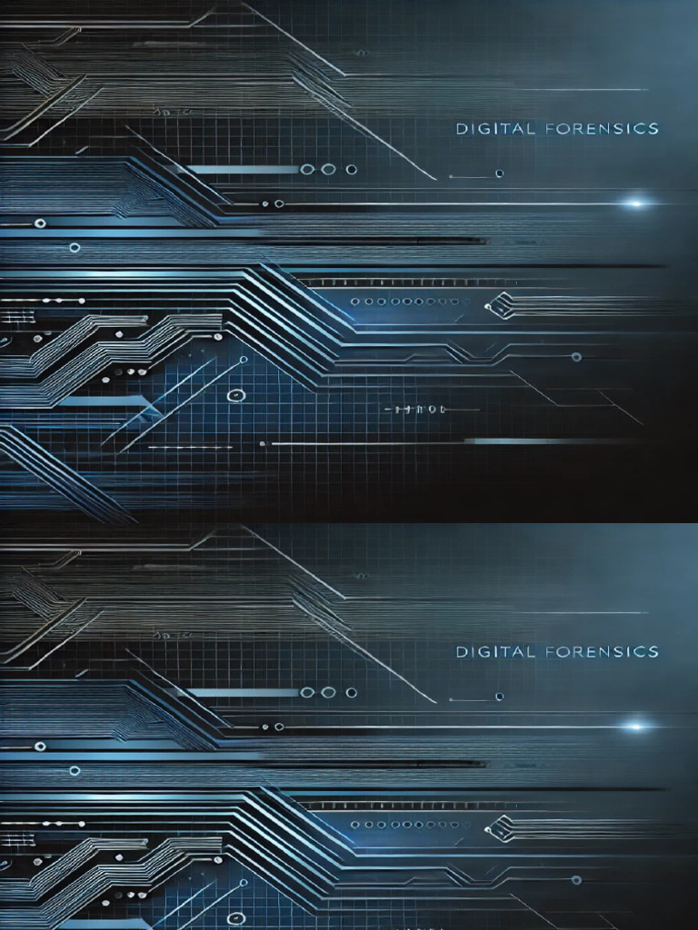 Basic Digital Forensics Elegant | PDF