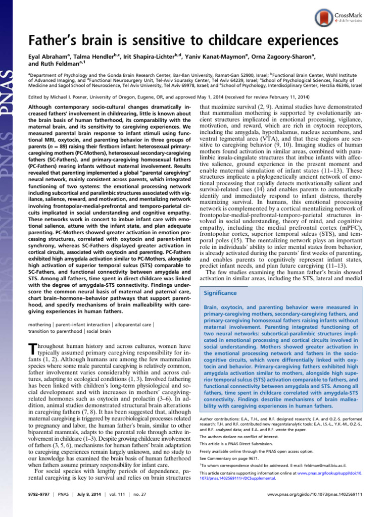 Father's Brain and Childcare Impact | PDF | Brain | Cognitive Science
