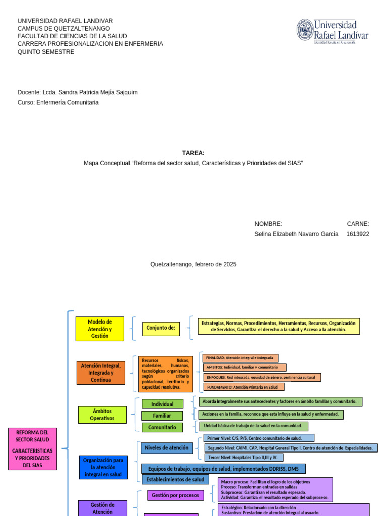 Mapa Conceptual Enf Comunitaria Selina | PDF | Hospital