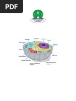 SAIT Campus Map | PDF | Vehicles | Transport