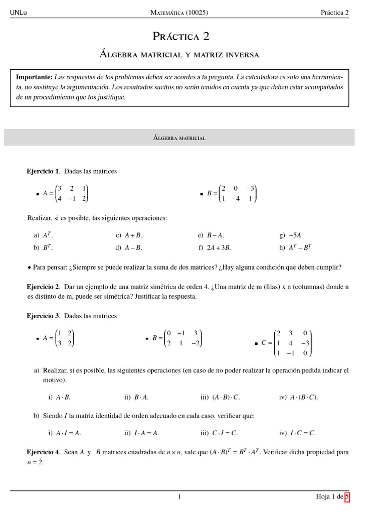 p2 Ok Con Rtas | PDF | Matriz (Matemáticas) | Álgebra