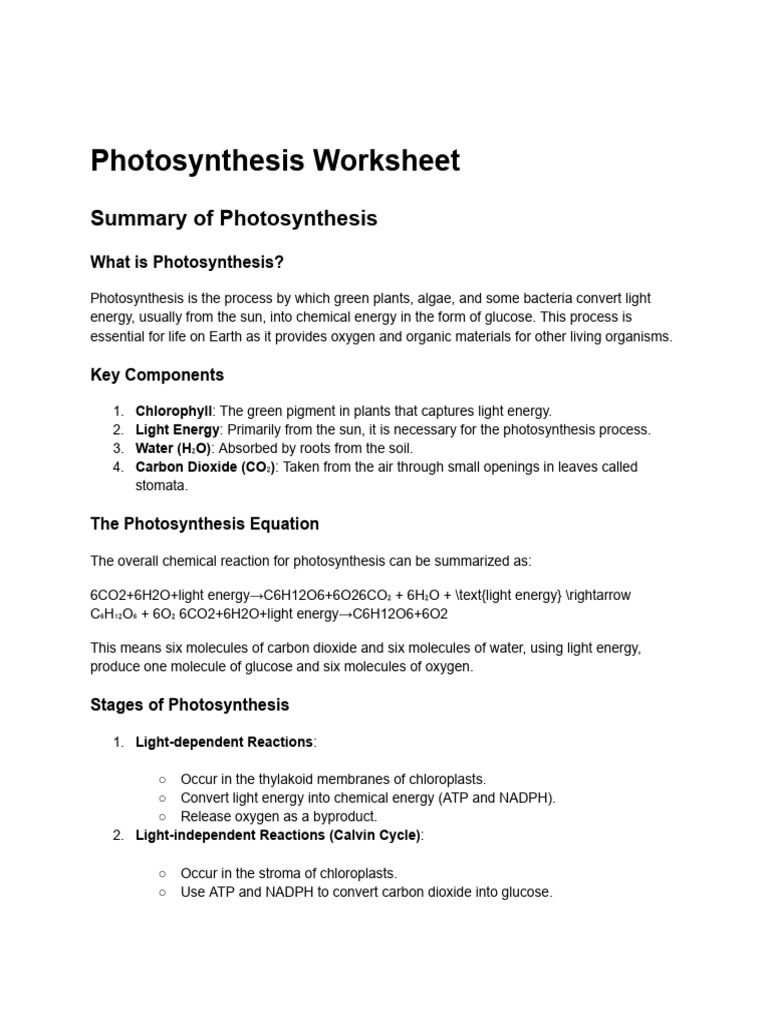 Photosynthesis Process Overview | PDF