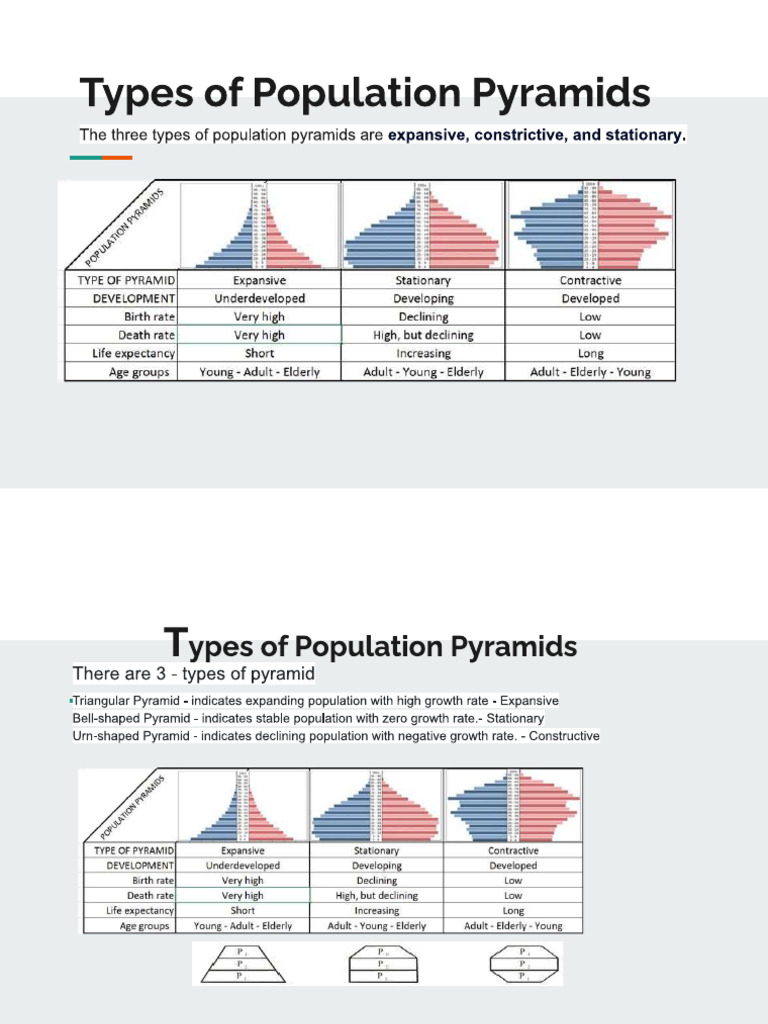 Types of population pyramid | PDF