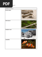Invertebrate Classification Overview | PDF | Invertebrate | Biology