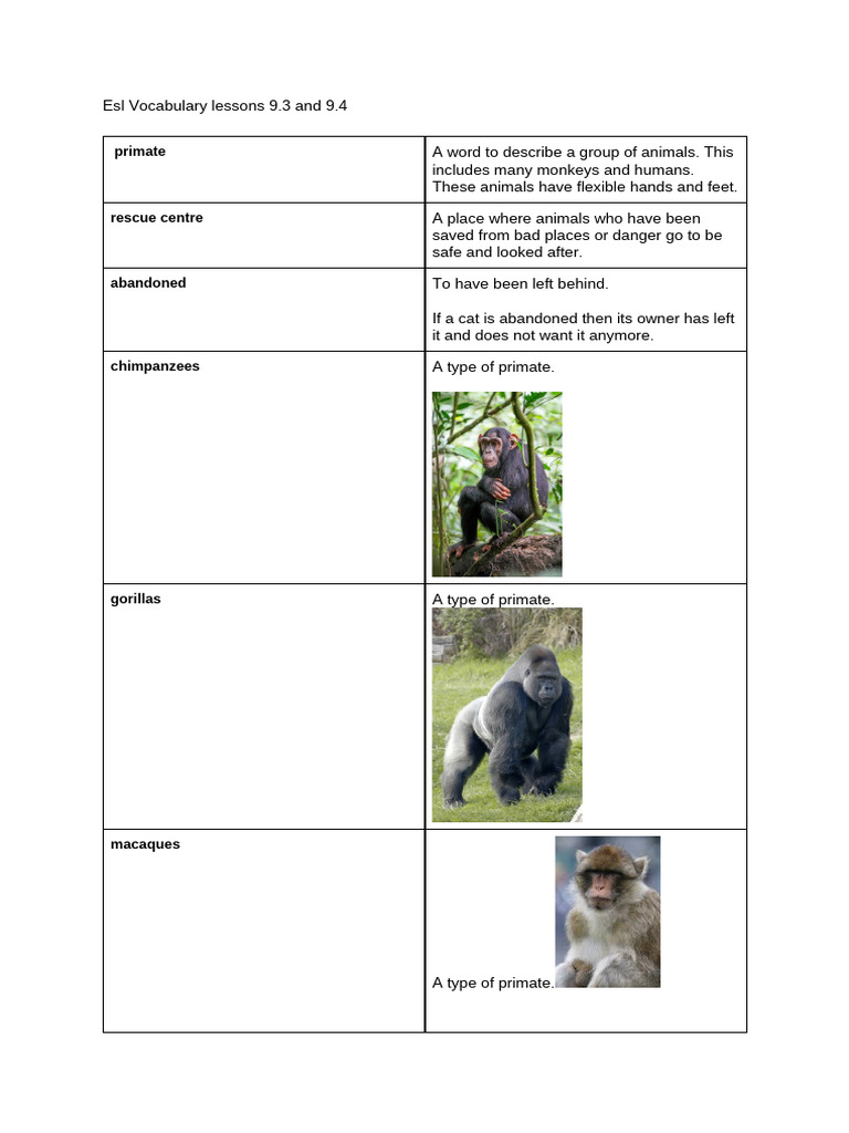 ESL Vocabulary: Primates and Safety Terms | PDF | Zoology