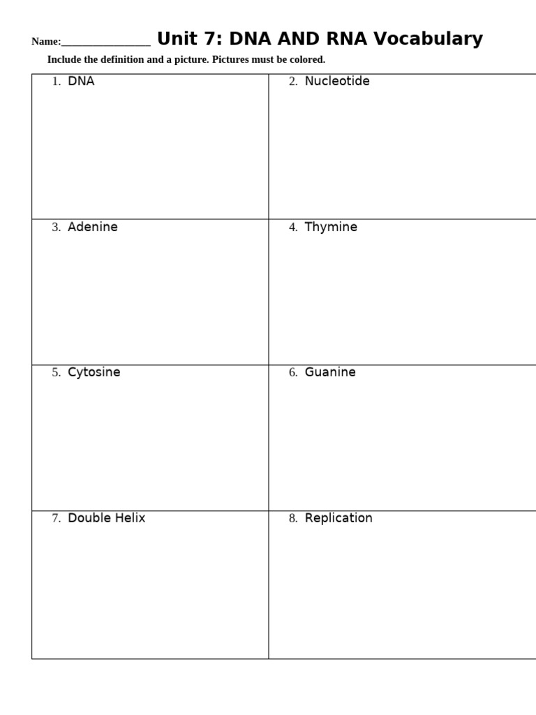 DNA and RNA Vocabulary Guide | PDF
