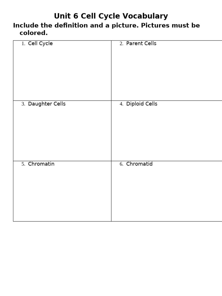 Unit 6 Cell Cycle Vocabulary | PDF