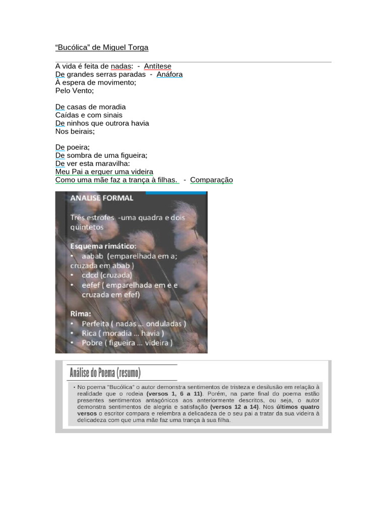 Análise do Poema "Bucólica" de Torga | PDF