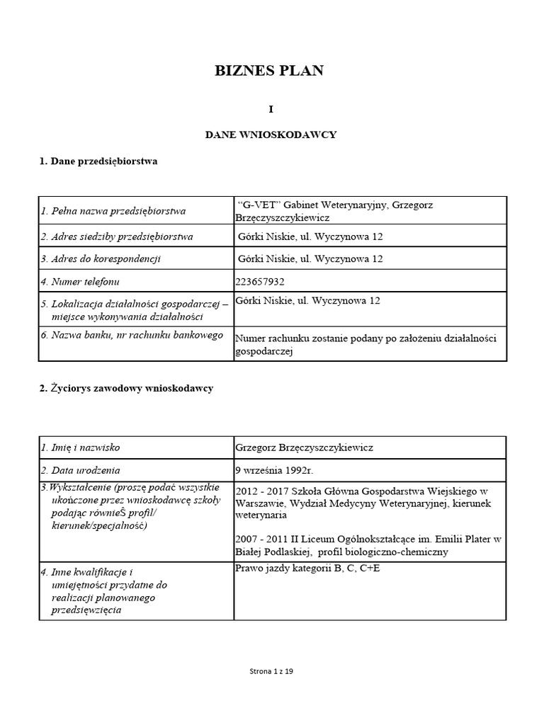Przykładowy Biznes Plan | PDF