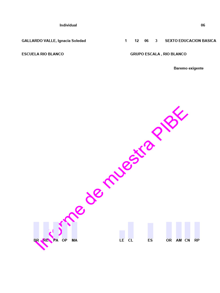 INFORME SEXTO PBE . | PDF | Educación primaria | Memoria