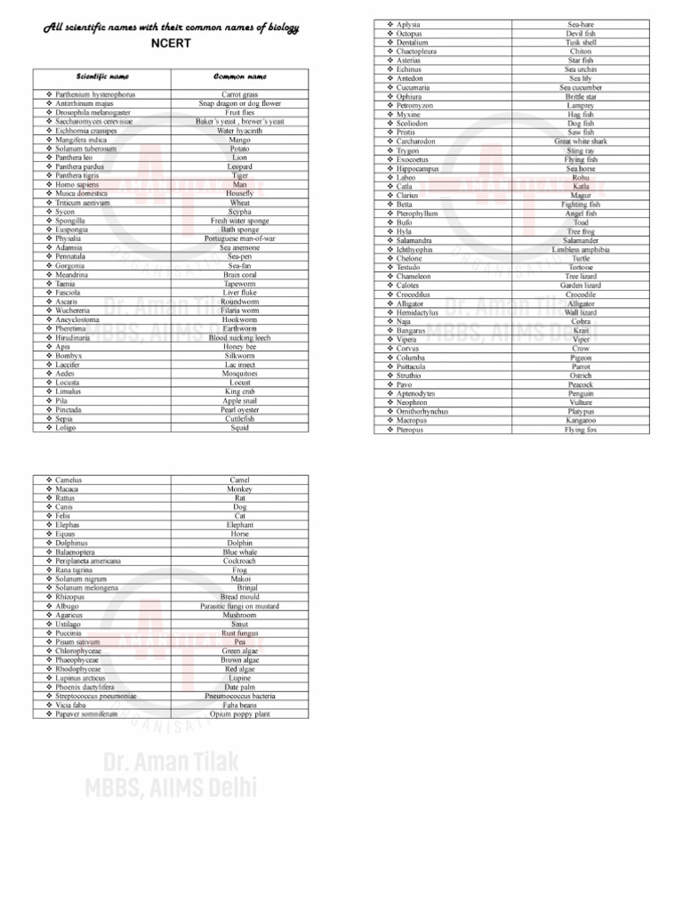 All SCIENTIFIC NAMES of NCERT Compiled - 112415.pdf - PDF - 011901 | PDF