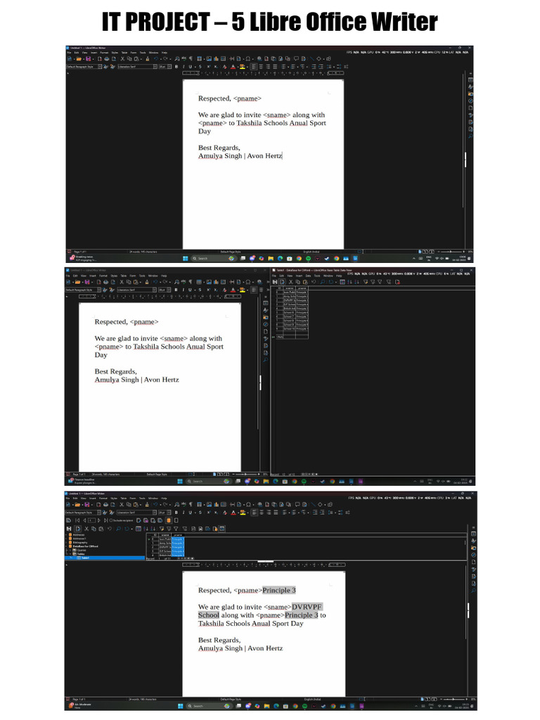 IT Project Overview: LibreOffice Writer | PDF