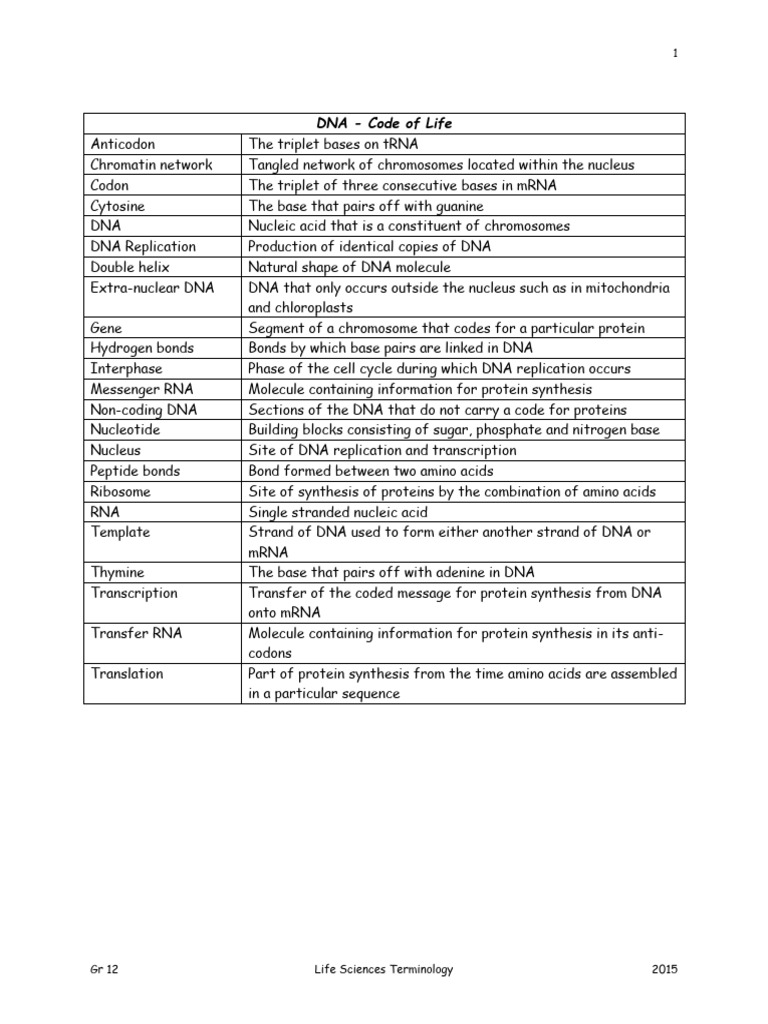 Terminology DNA | PDF