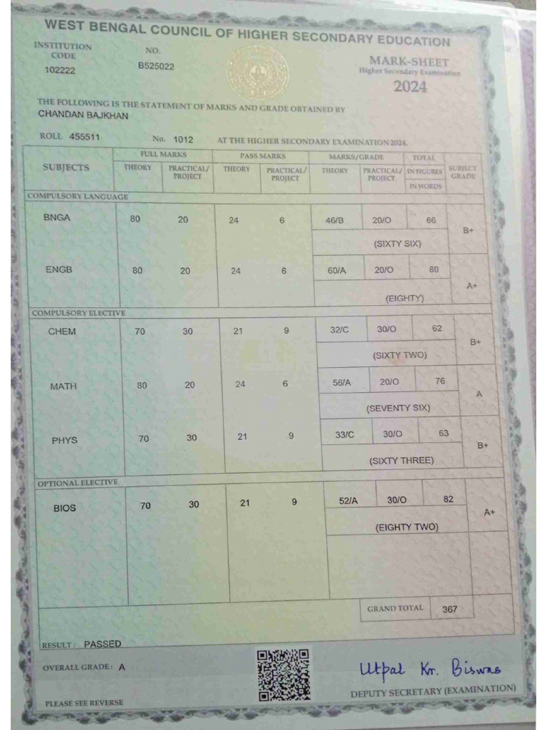 12 Pass Marksheet | PDF