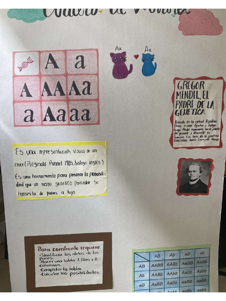 Cuadro de punnet | PDF