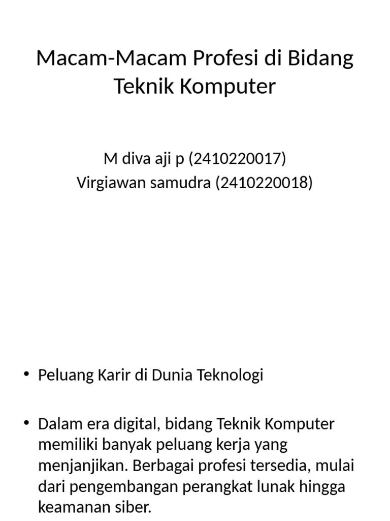 Macam Macam Profesi Teknik Komputer Lengkap | PDF
