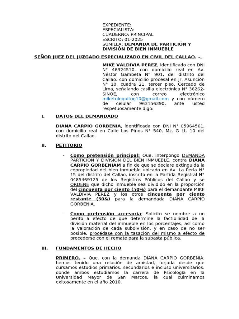 DEMANDA DE PARTICION Y DIVISION | PDF
