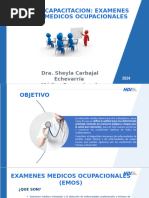 Examenes Medicos Ocupacionales Emo | PDF