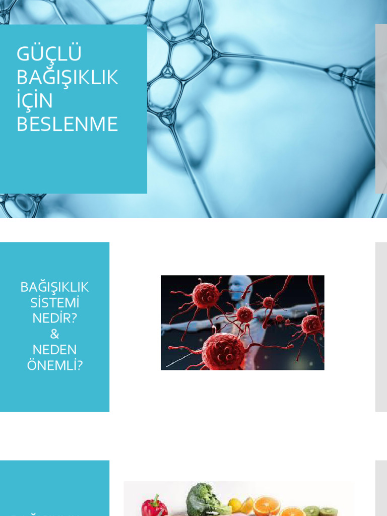 FTR 233 Beslenmeye Giriş - 6. Slayt | PDF