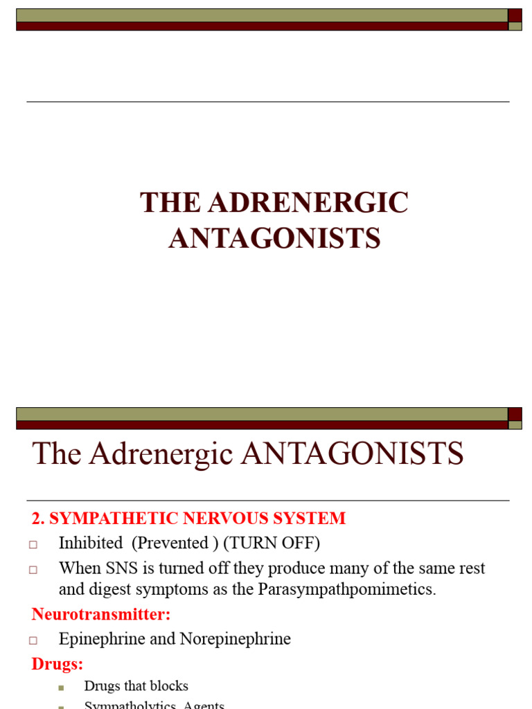 Autonomic Drugs - Adrenergic and Cholinergic Drugs | PDF ...