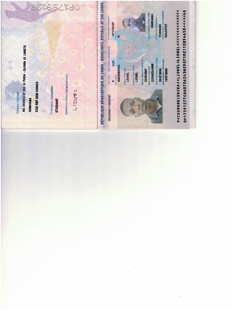 Pasport W | PDF
