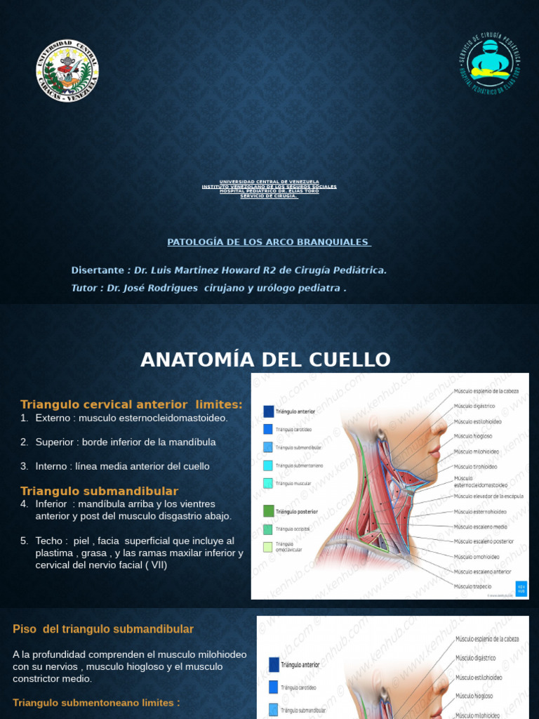 4 - Patologias Derivadas de Arcos Branquiales | PDF | Cabeza y cuello humanos | Anatomía humana