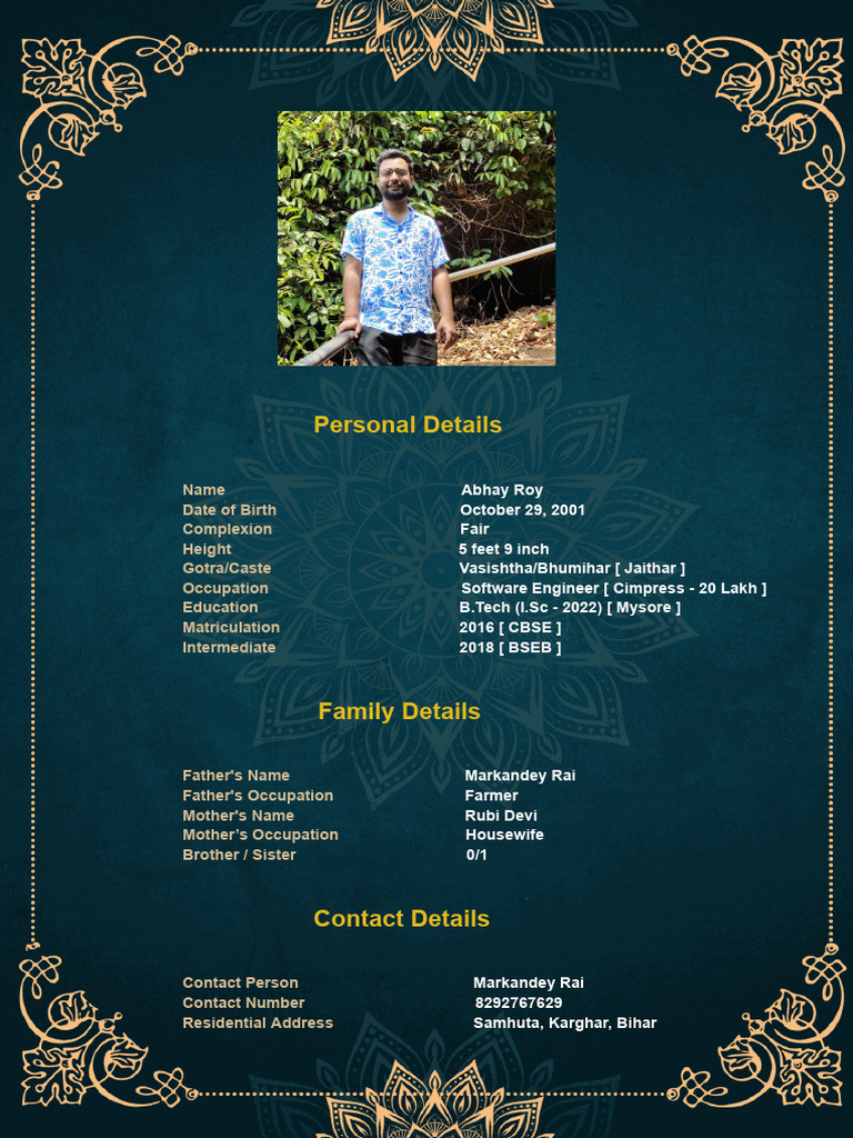 Abhay Roy - Software Engineer Profile | PDF
