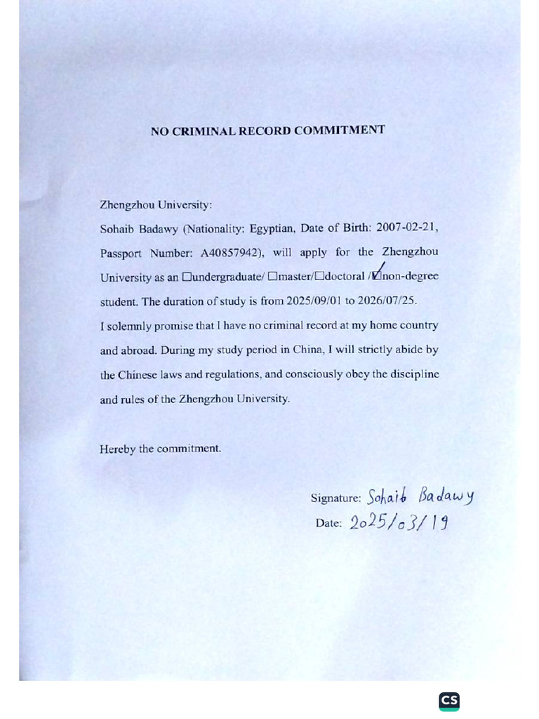 No Criminal Record Commitment | PDF