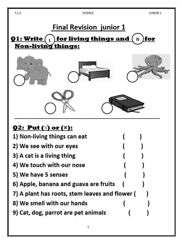 J1 Science Revision | PDF | Zoology | Organisms