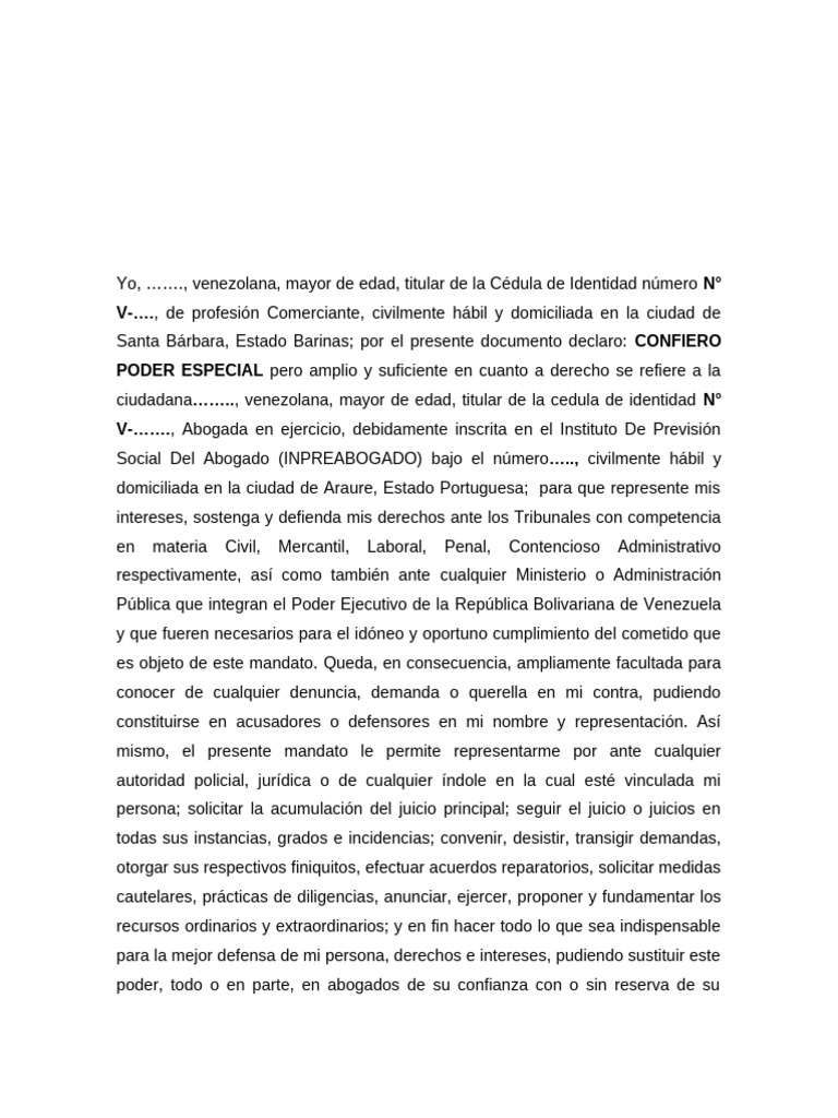 Modelo Poder Especial. | PDF
